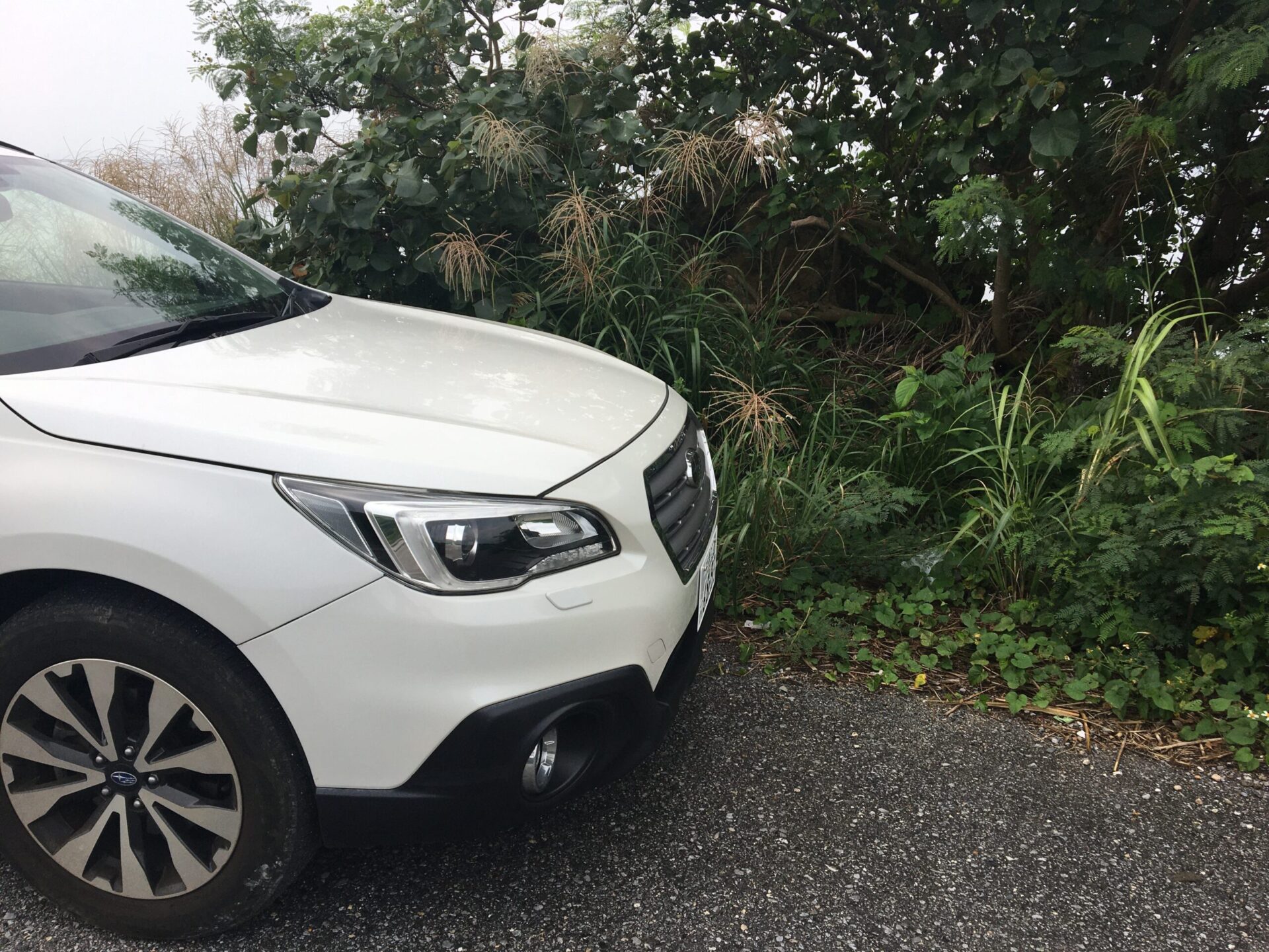 ゴリラとスバル - 沖縄でレンタカーならオープンカー!